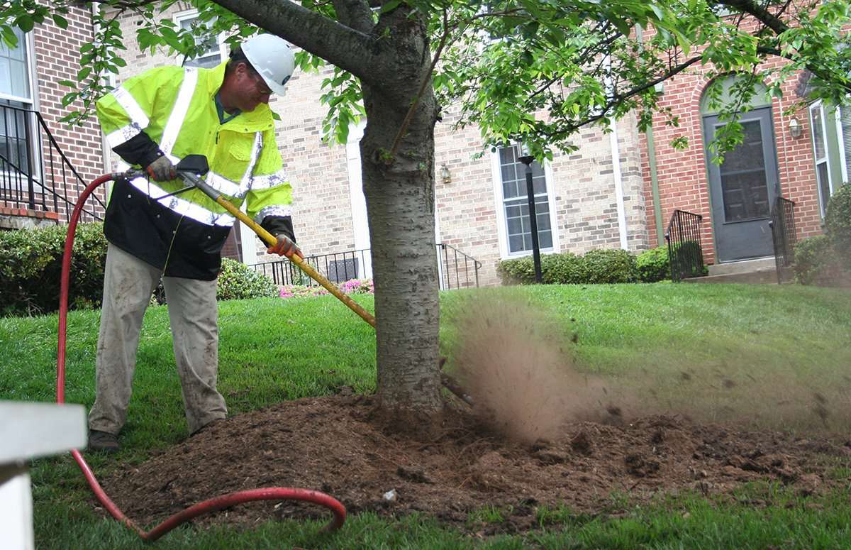 Mulch Around Trees - RTEC Treecare