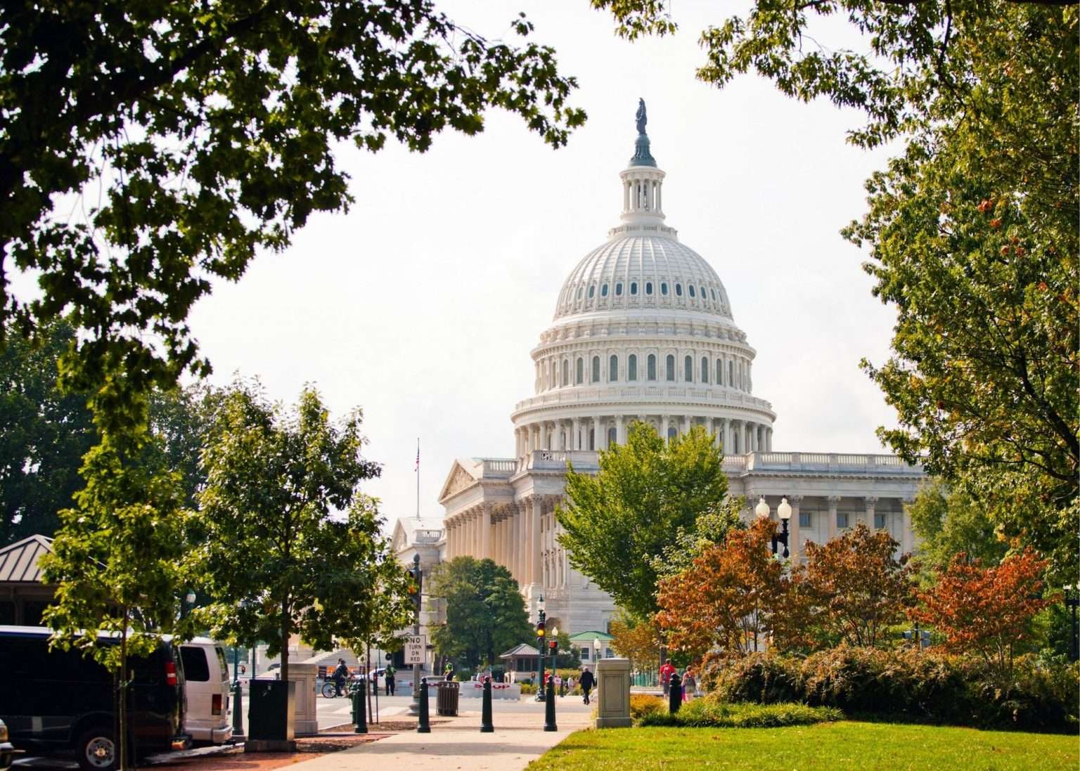 Environmental Services - RTEC Treecare