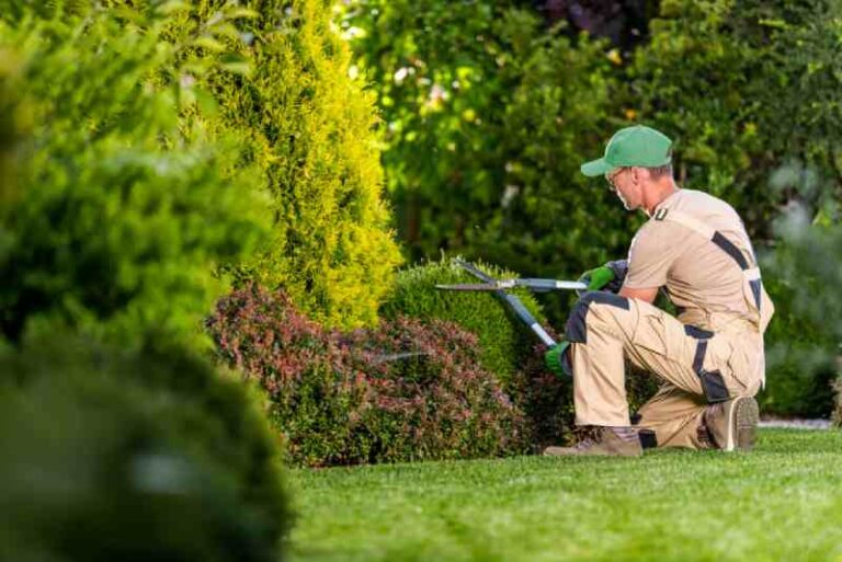 The Best Tips and Tricks for Your Home Garden Fall Pruning