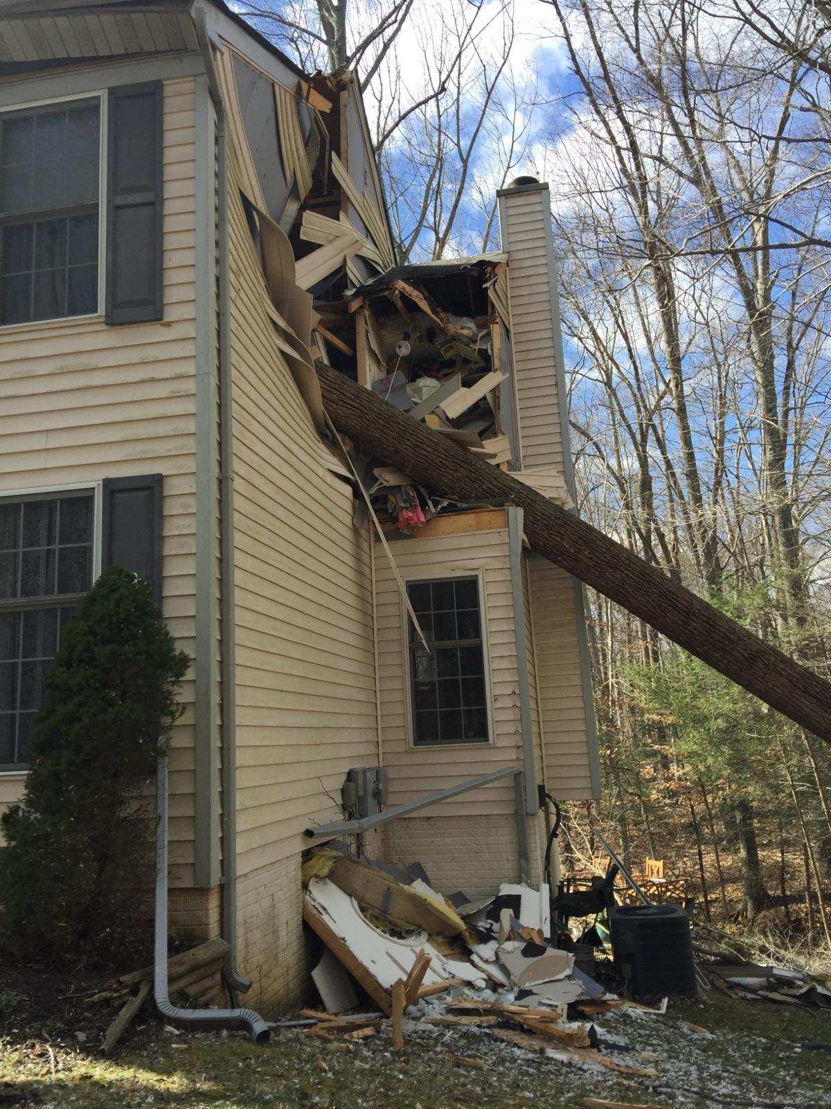 How to Protect Your Trees From Summer Storms