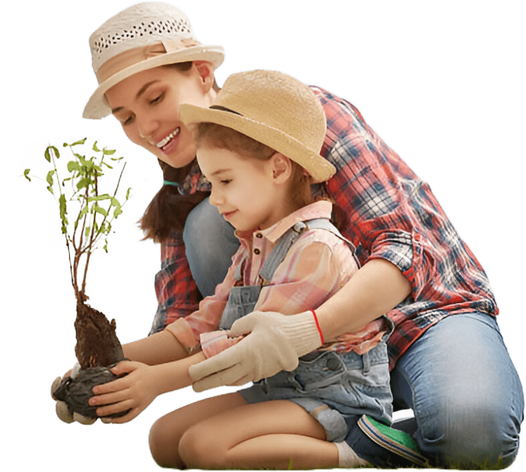 Plant Health Care: Identifying Tree Health Warning Signs