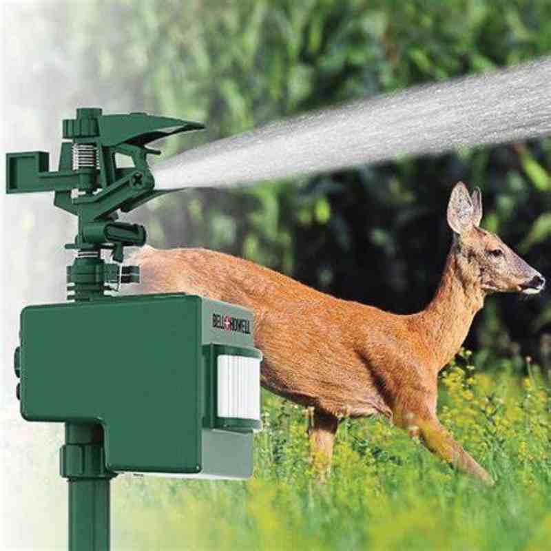 How To Protect Trees From Deer: The Best Deer Deterrent