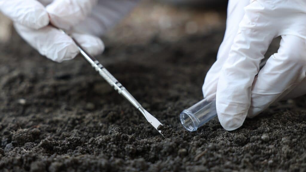 Is Your Soil pH Stressing Your Trees? - RTEC Treecare